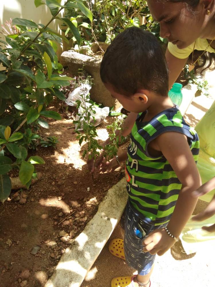Go-Green-Activity-Pics-at-Puttur-02 | Spring Board Academy and ...