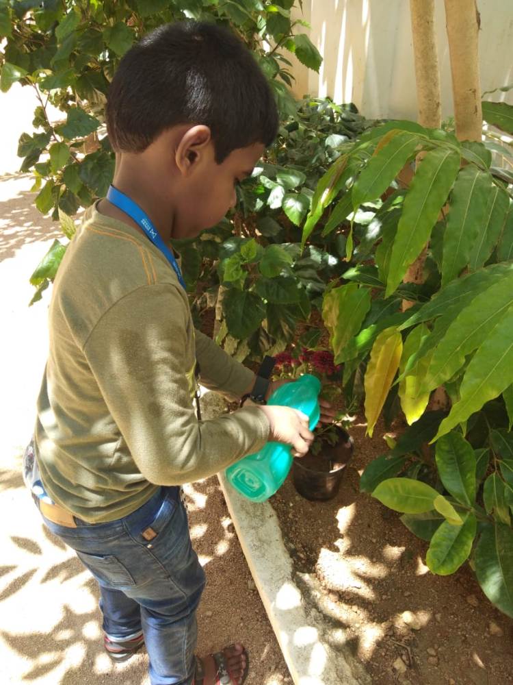 Go-Green-Activity-Pics-at-Puttur-05 | Spring Board Academy and ...