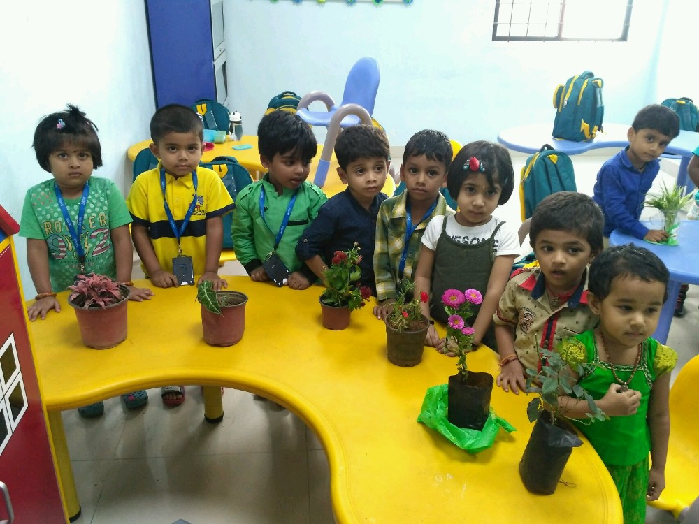 Go-Green-Day-Activity-Pics-at-Tirupati-07 | Spring Board Academy and ...