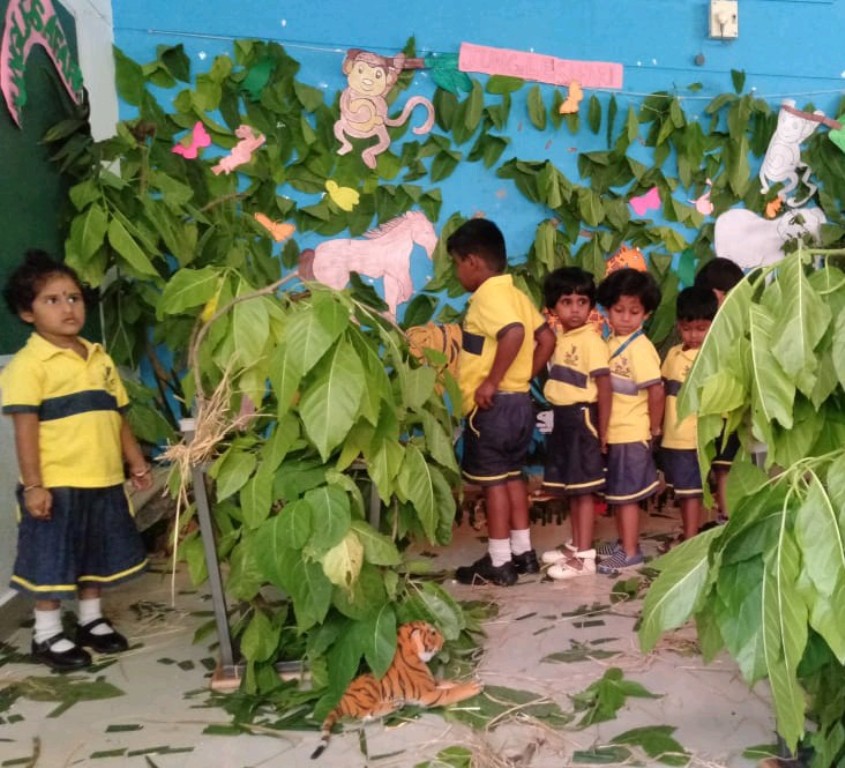Jungle-Safari-Activity-at-Puttur-10 | Spring Board Academy and ...