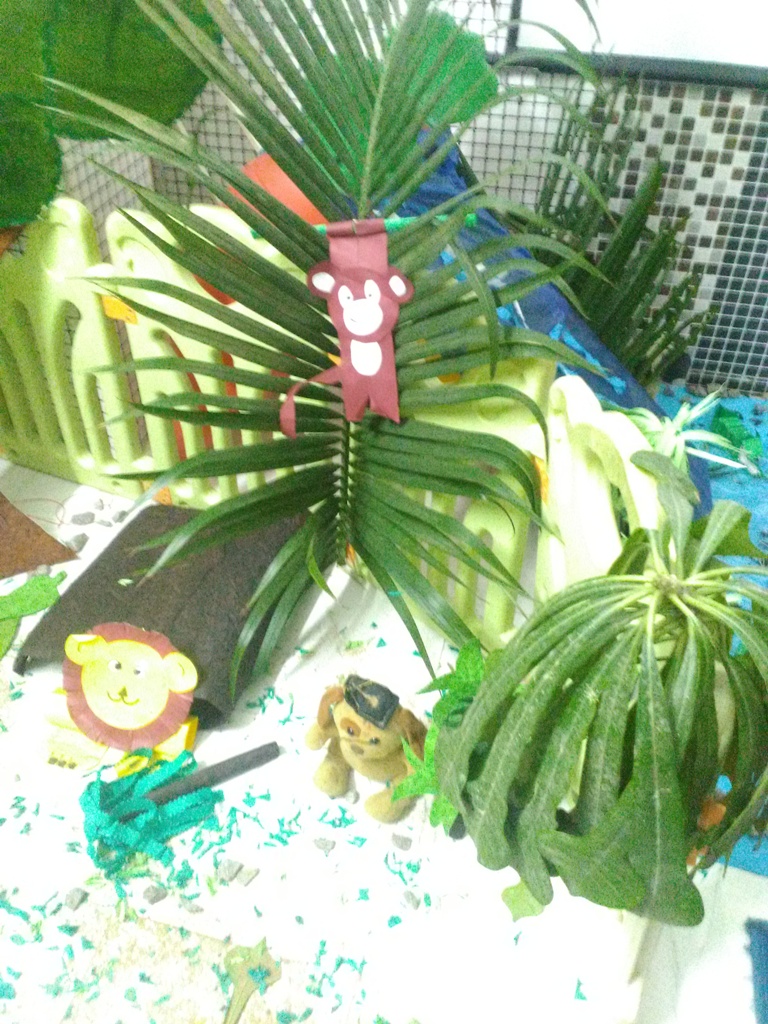Jungle-Safari-Pre-Primary-Children-at-Nagole-04 | Spring Board Academy ...