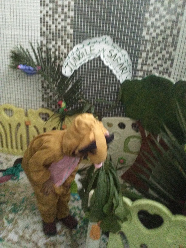 Jungle-Safari-Pre-Primary-Children-at-Nagole-19 | Spring Board Academy ...