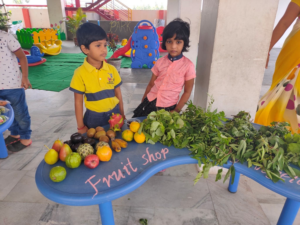 IN MY TOWN THEME SHOW at Spring Board International Preschool and Academy, Mandapeta-11 | Spring ...