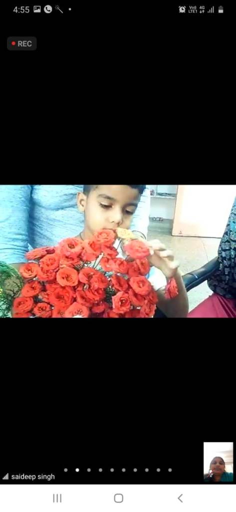 flower-bouquet-show-activity-16 | Spring Board Academy and ...