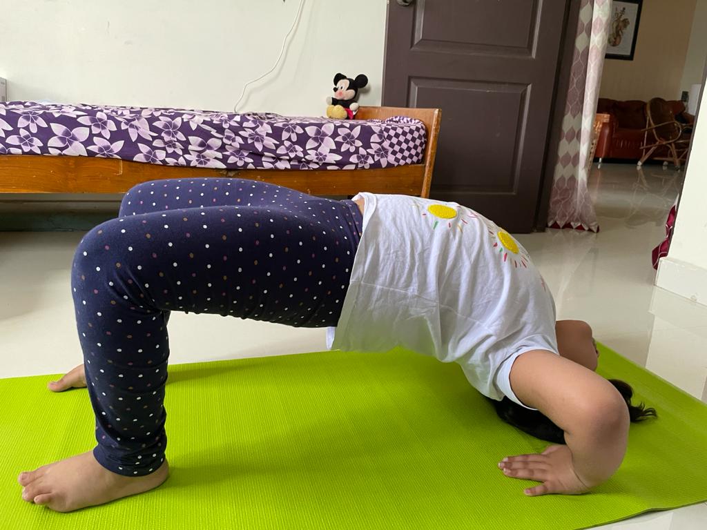 International Yoga Day23 | Spring Board Academy and International ...